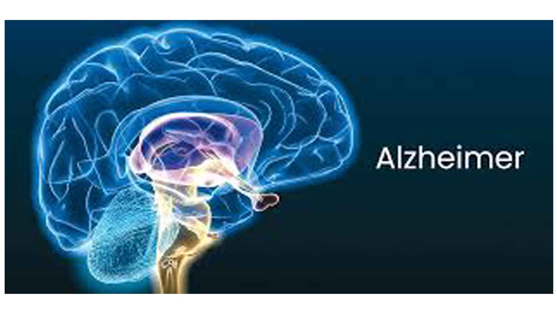 Israel’s Tel Aviv University team develops a process that could reverse ...