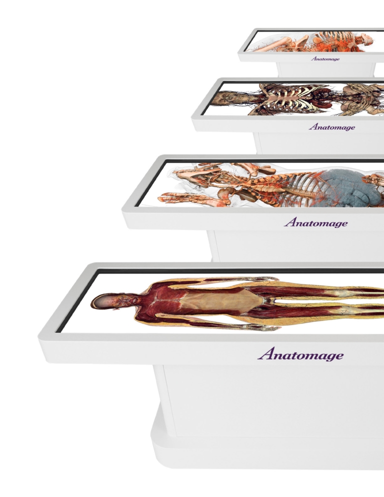 Trivitron Healthcare partners with Anatomage for virtual anatomy dissection table - Healthcare ...