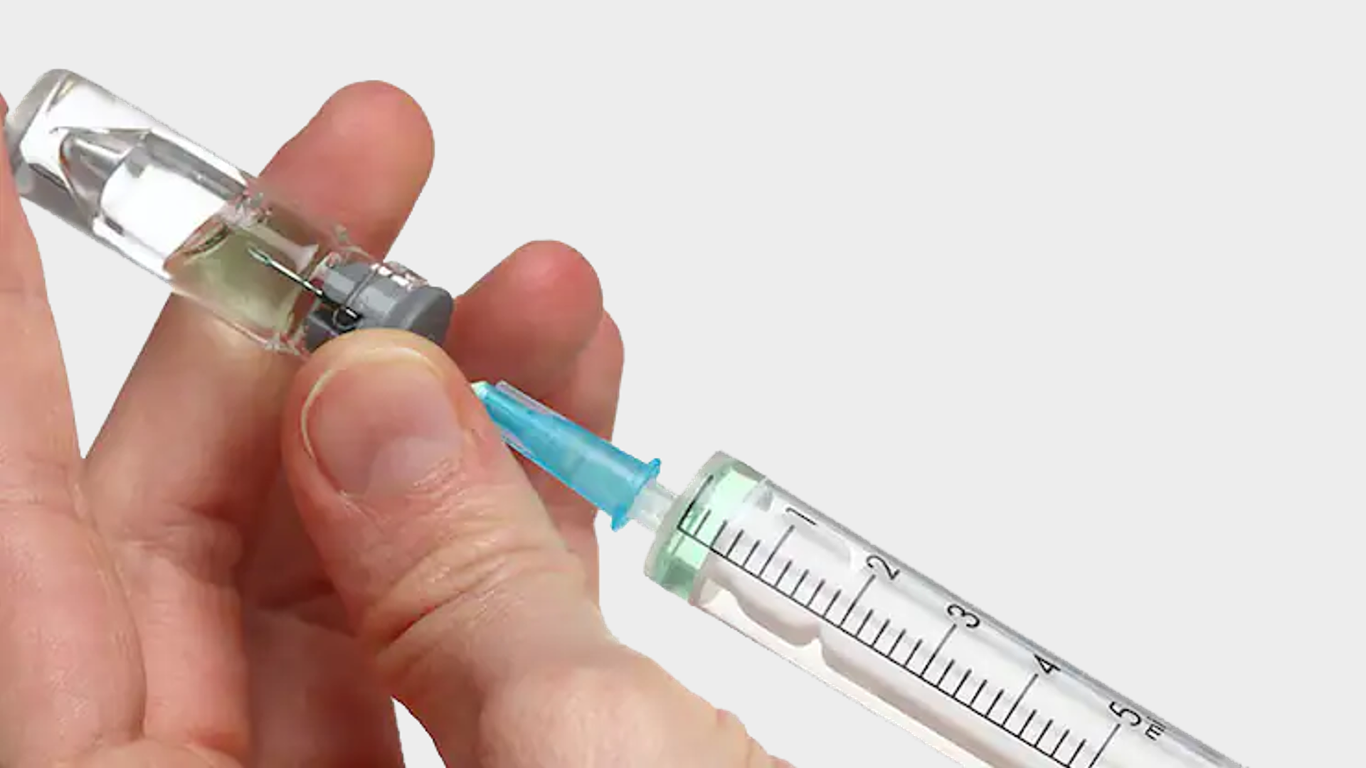 Experts & Anti-Rabies advocates welcome launch of National Action Plan ...