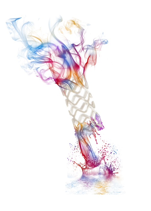 Meril, Japan Lifeline partner for Myval Octacor transcatheter heart ...
