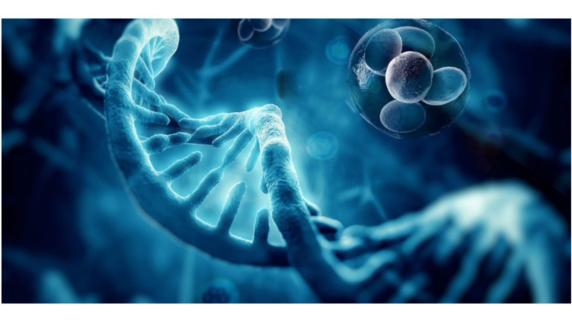 Fellowship courses in regenerative medicine and stem cell-based ...