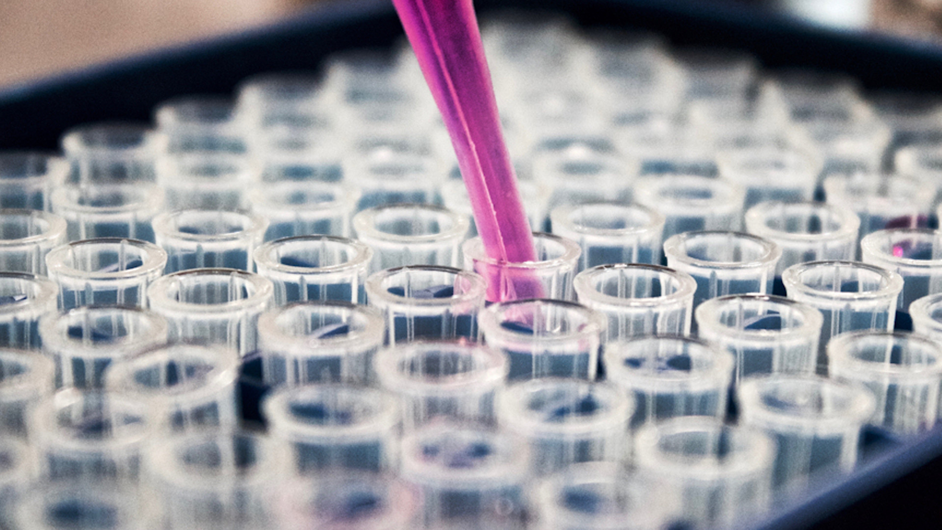 Agilex Biolabs shares how to select the right bioanalytical tools for ...