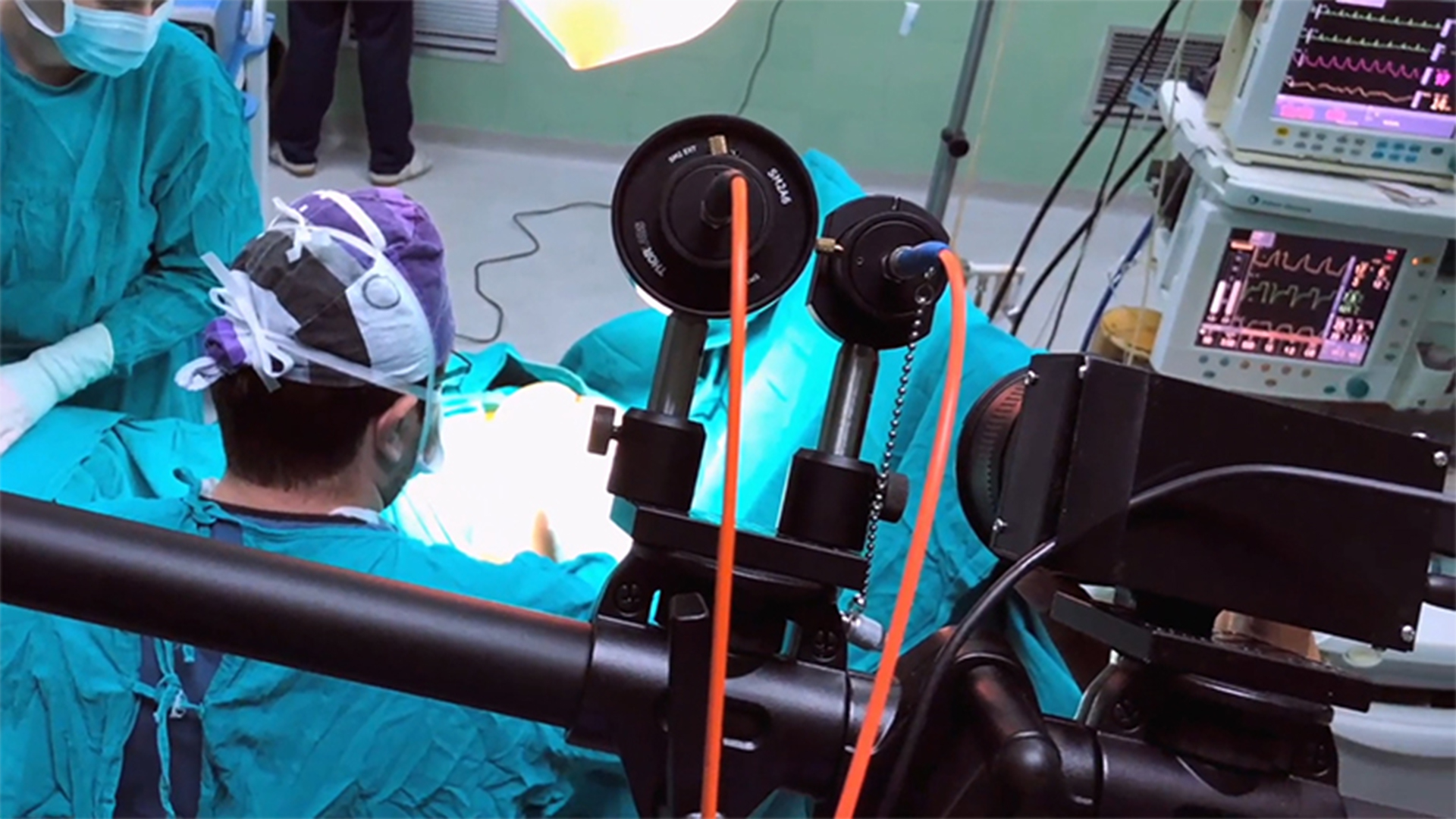 Mantis shrimp-inspired camera provides second opinion during cancer ...