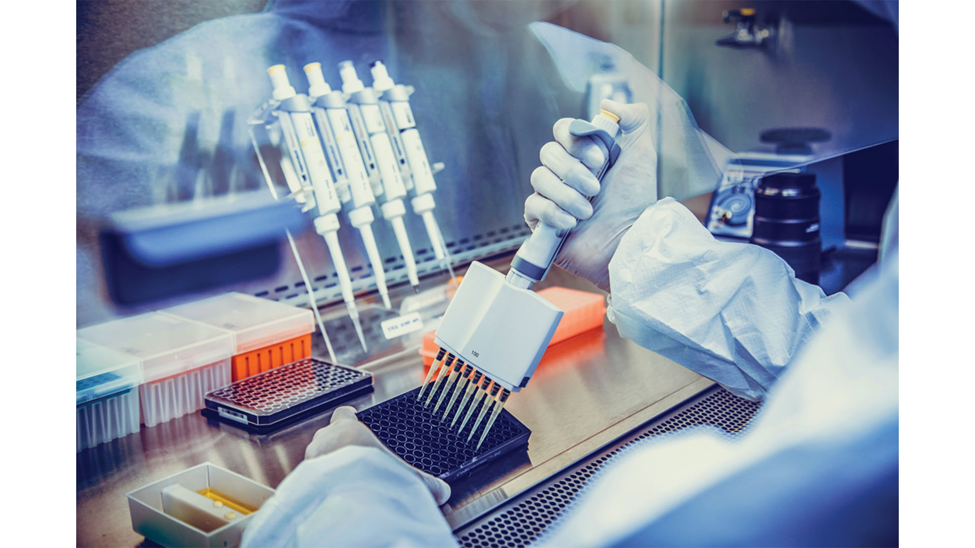 Redcliffe Life Launches 4 new labs to cater to the home comfort ...