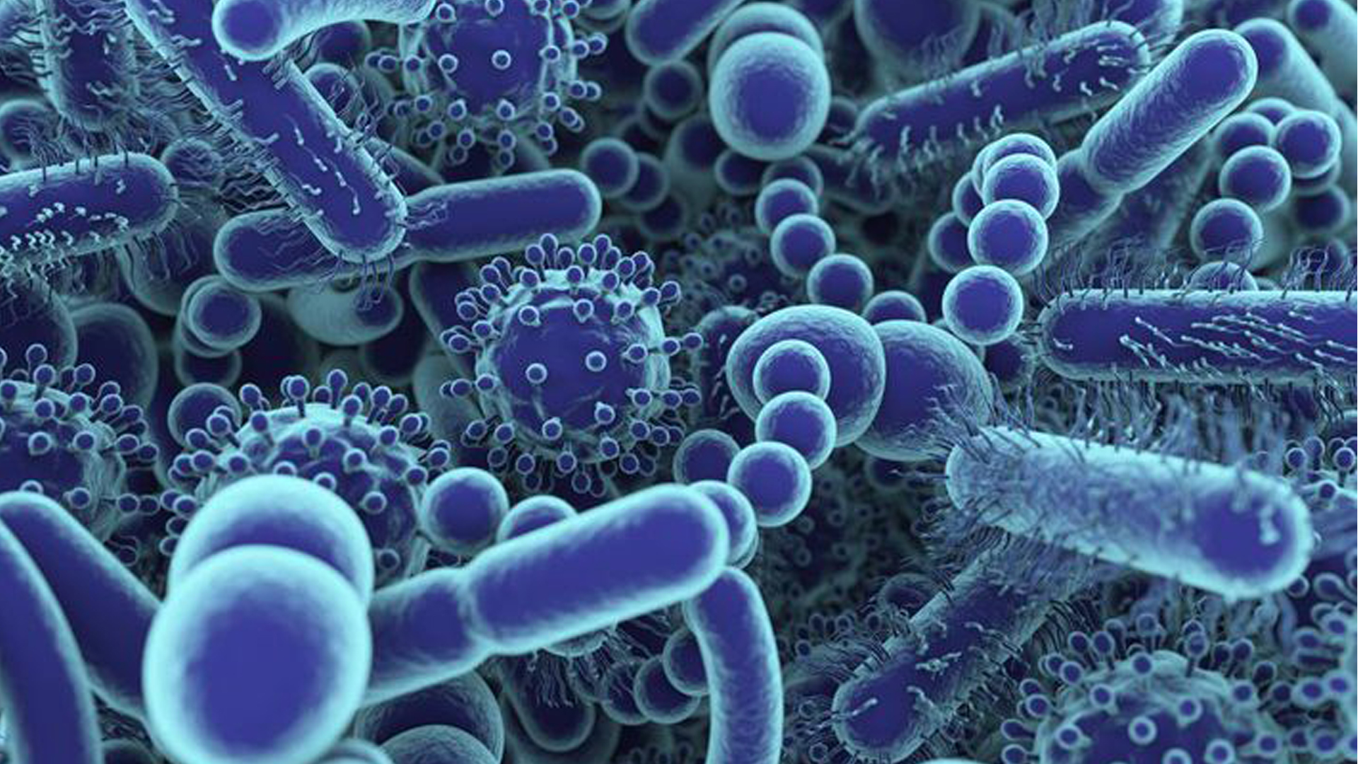 Probiotics, effective against respiratory disease caused by COVID-19 ...