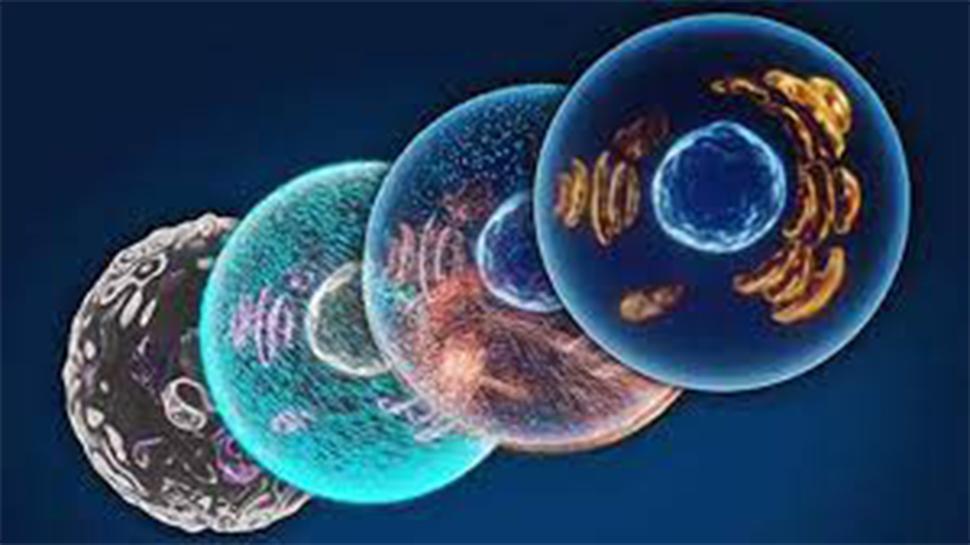 IQVIA Biotech launches in Asia Pacific and Japan - Healthcare Radius