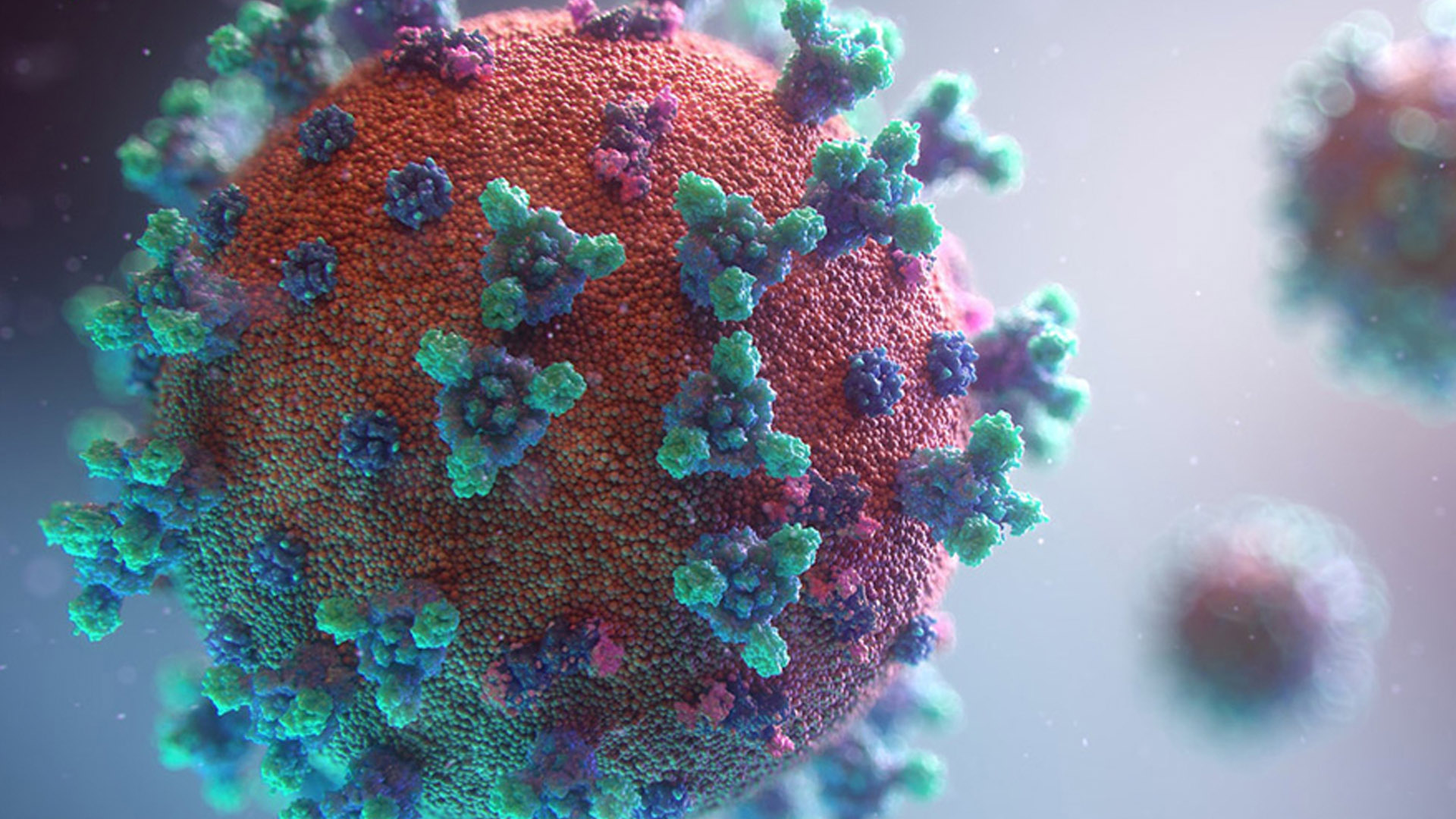SMART researchers develop a method for rapid, accurate virus detection ...