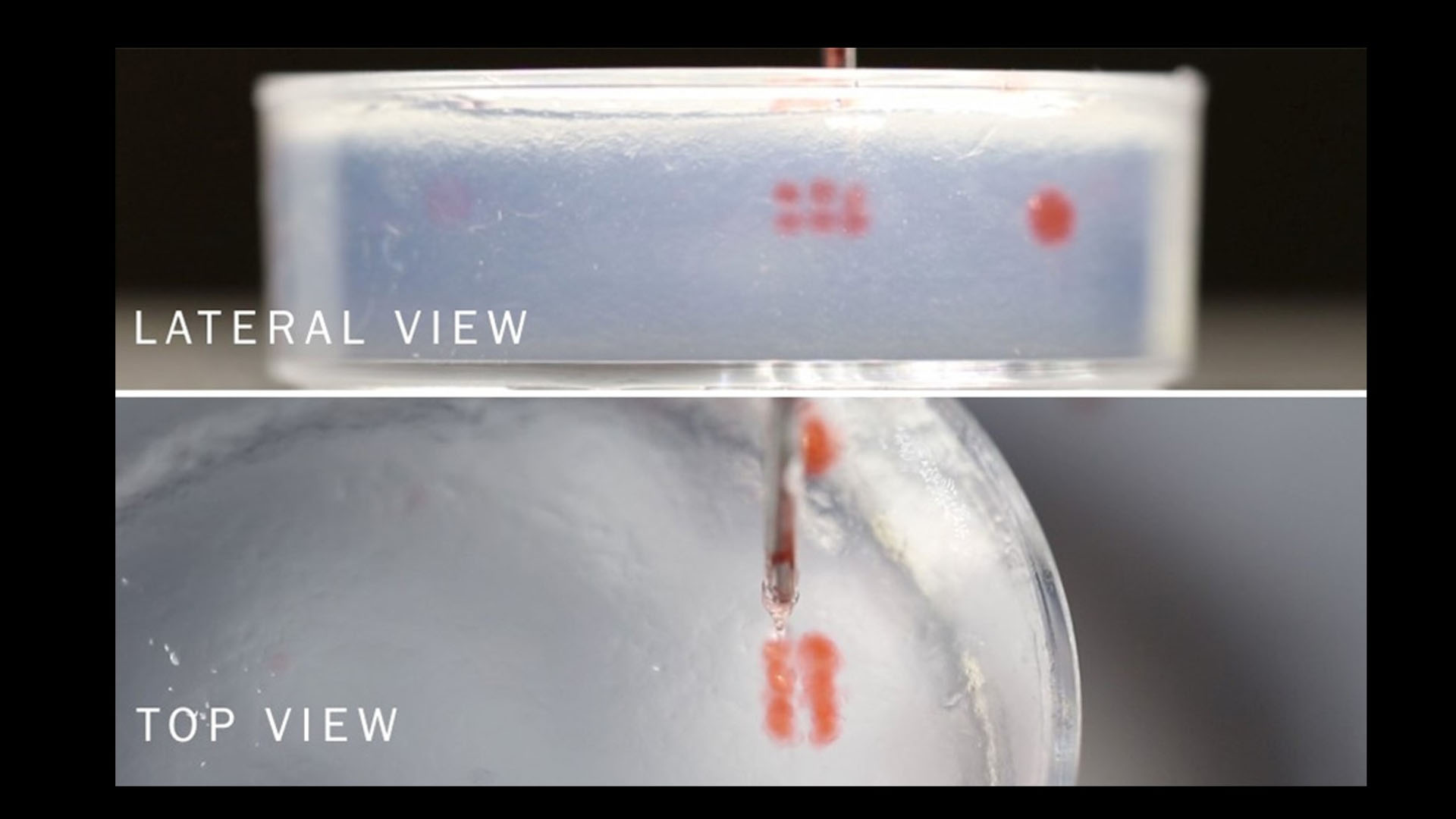 New technique uses hydrogel particles to build 3D structures ...