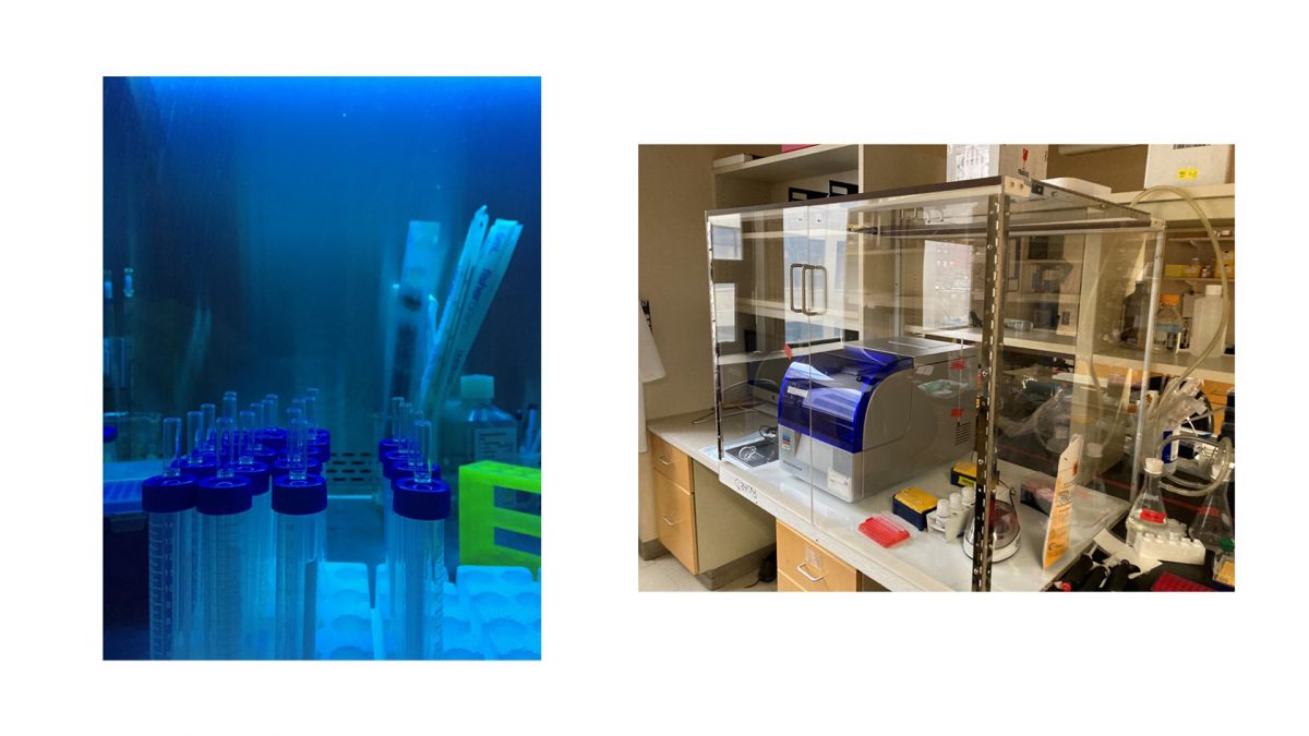 Scientists develop an RNA-based breath test to detect COVID-19 ...