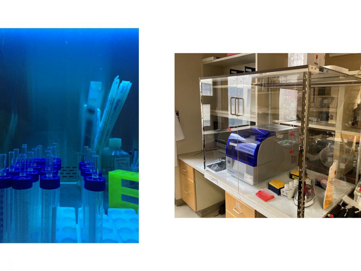 Scientists develop an RNA-based breath test to detect COVID-19 ...