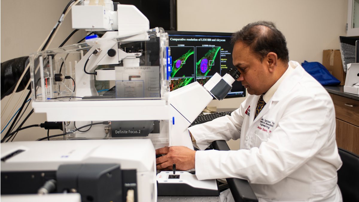 Innovative silicon nanochip can reprogram biological tissue in living ...