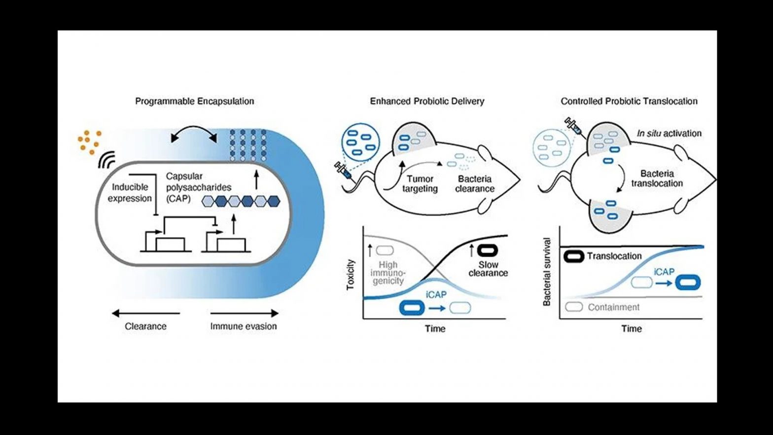 An invisible cloak for bacteria to deliver cancer drugs - Healthcare Radius