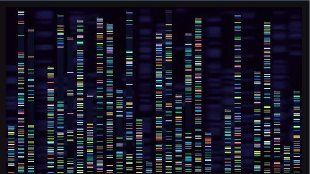Scientists have published the first complete, gapless, human genome ...