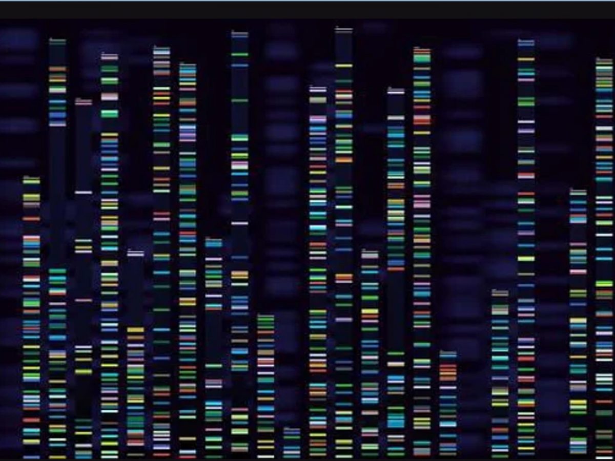 Scientists have published the first complete, gapless, human genome ...