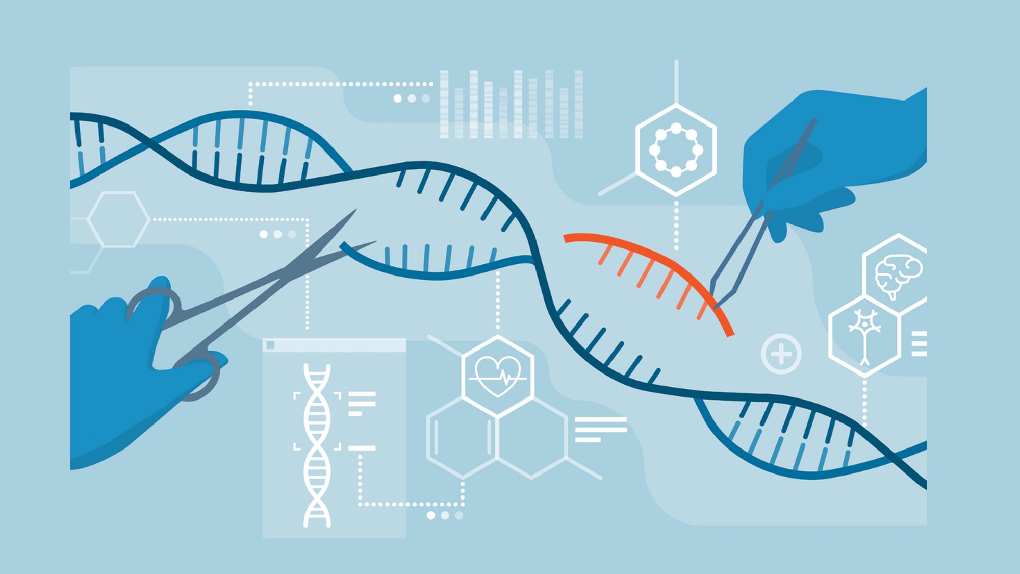 ‘Retron’ DNA helps scientists edit human genes - Healthcare Radius