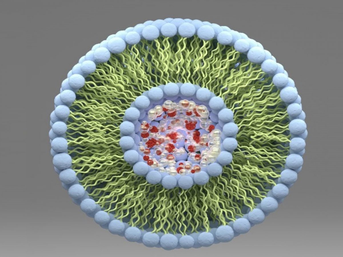 Essential phospholipids holds promise in the treatment of fatty liver ...