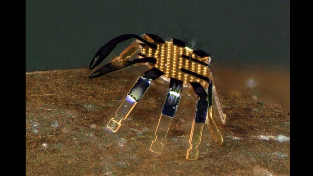 Northwestern University engineers develop smallest remote controlled ...