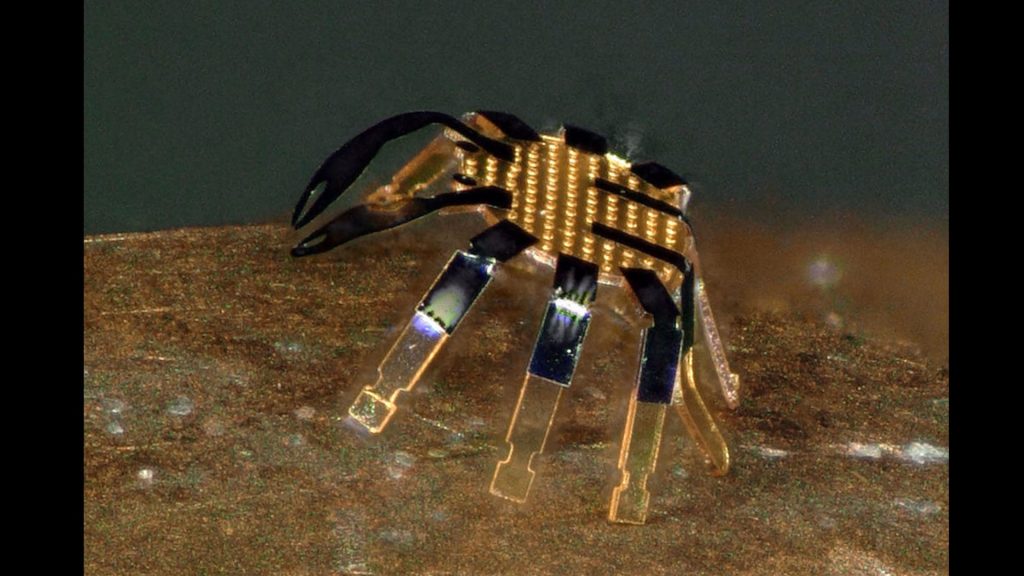 Northwestern University engineers develop smallest remote controlled ...