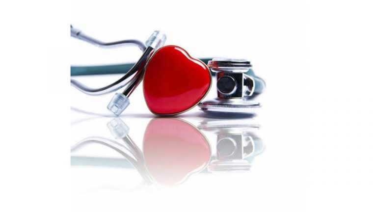 Meril, Japan Lifeline partner for Myval Octacor transcatheter heart ...