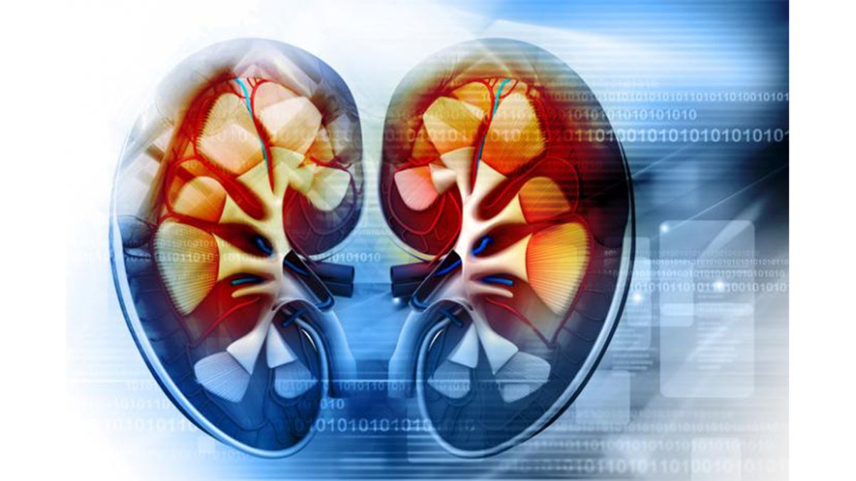 Bayer launches Kerendia (finerenone) for diabetes patients' chronic ...