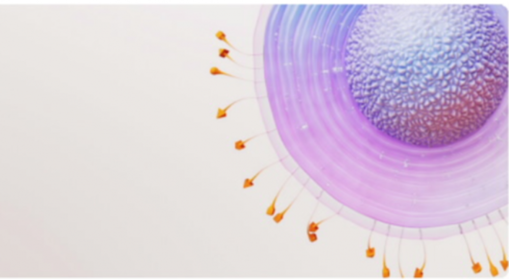 A decade of protection against shingles with Shingrix: Data ...