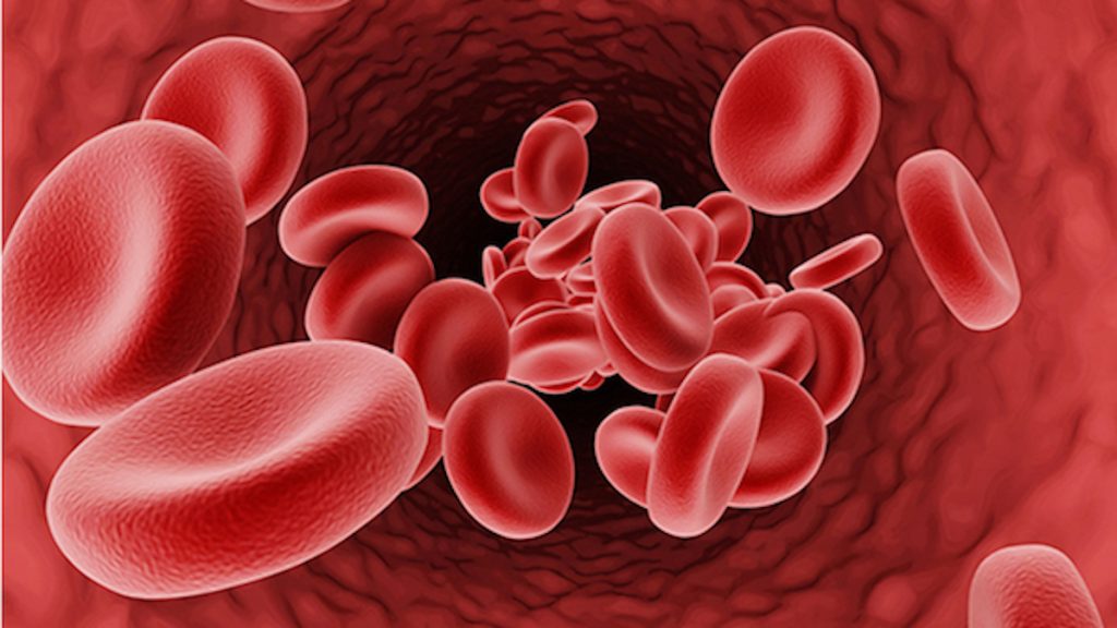 Rare blood cancer treated with combination chemotherapy at Fortis ...