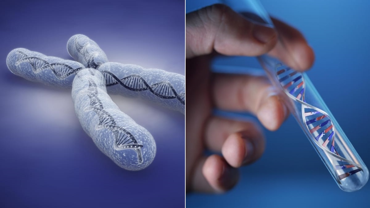 Xcode Life launches gene nutrition test in India - Healthcare Radius