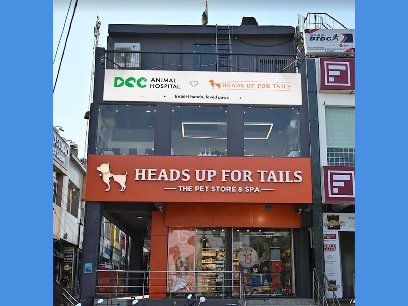 Dog treated with valvuloplasty at MaxPetz - Healthcare Radius