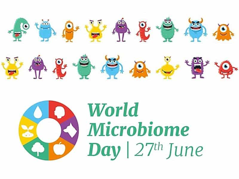 Boost Your Gut Microbiome Health For A Healthier You Healthcare Radius