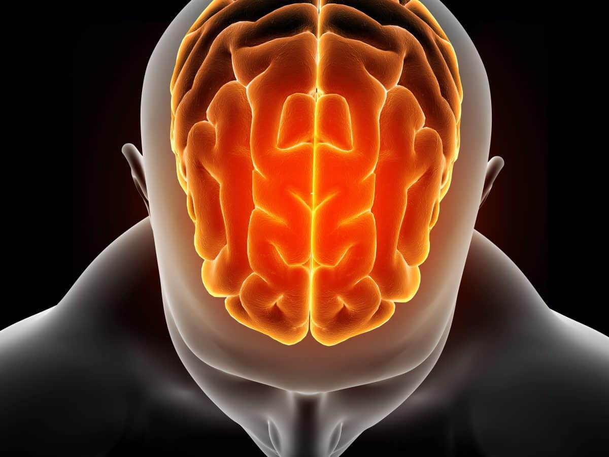 World Brain Day (22 July): Time to prevent and treat Brain Fog and ...