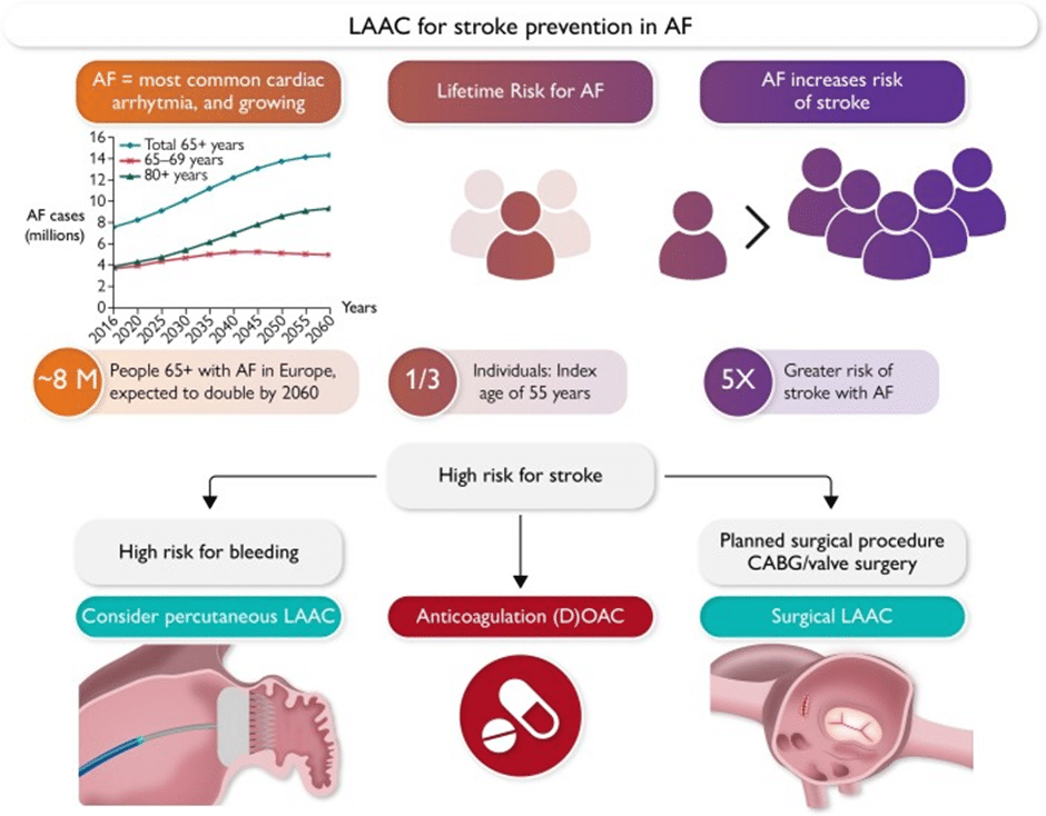 How does LAA closure reduce the risk of stroke in AFib patients ...