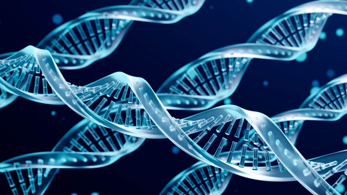 Budget 2025 expectations: What healthcare leaders want for genomics and innovation - Healthcare ...