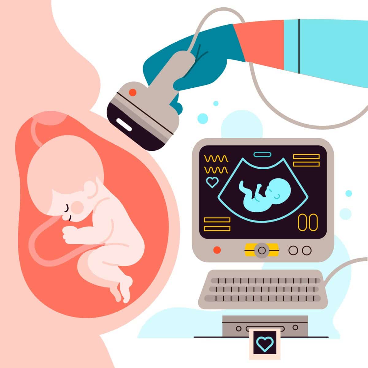 Placenta warning: How it affects pregnancy and fertility Placenta warning: How it affects pregnancy and fertility